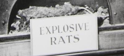 Theatre of war: the drama of the Special Operations Executive - The ...