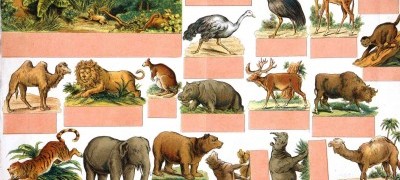 Celebrating #archiveanimals - The National Archives blog