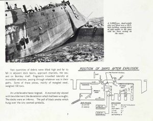 Anatomy of a disaster: the Bombay Docks Explosion - The National ...