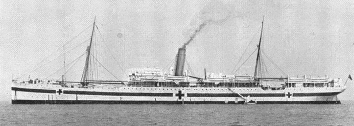 100 years since the sinking of HMHS Glenart Castle - The National ...