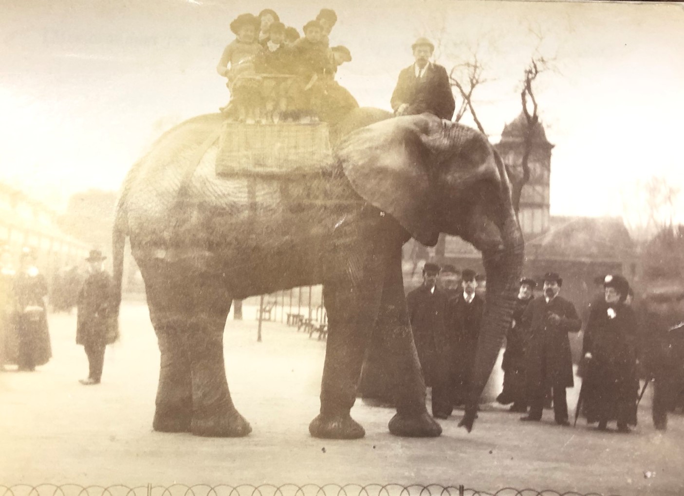 John Thomson: Victorian pioneer of photojournalism - The National ...