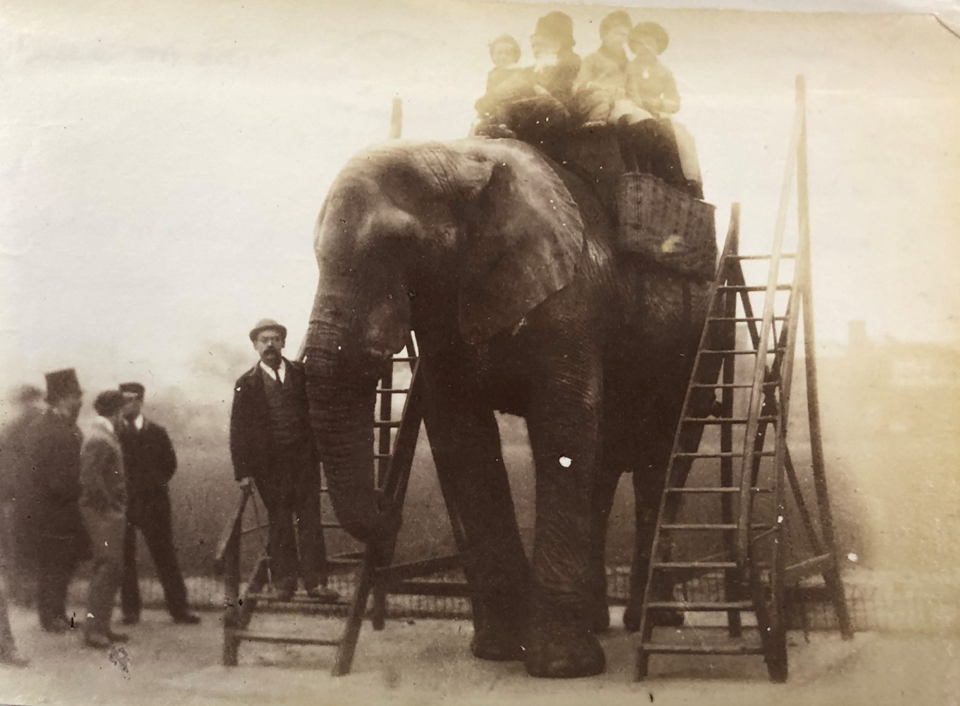 John Thomson: Victorian pioneer of photojournalism - The National ...