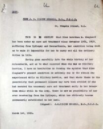 Dementia Action Week 2023: Disabled nurses of the First World War - The ...